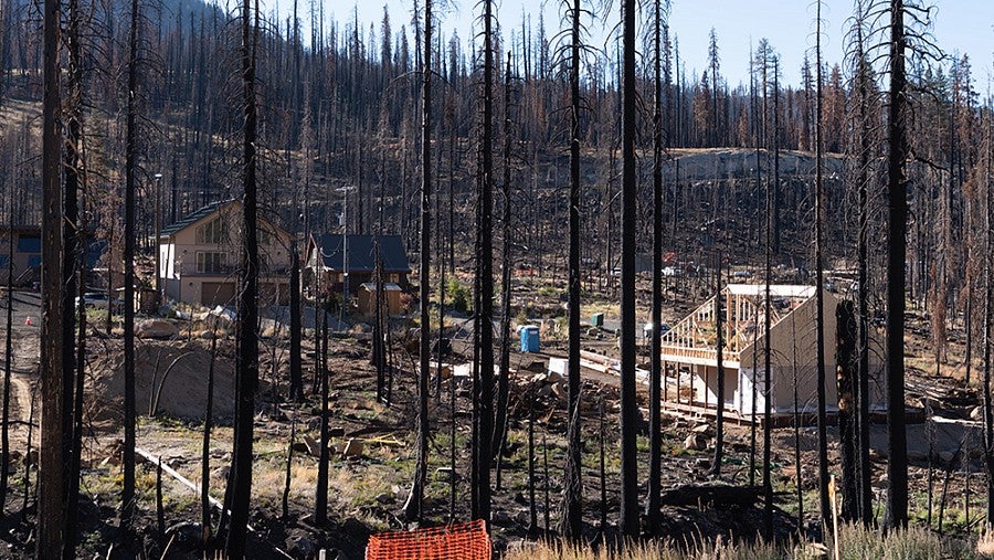 Veterans of epic wildfires gather at UO to share recovery lessons ...