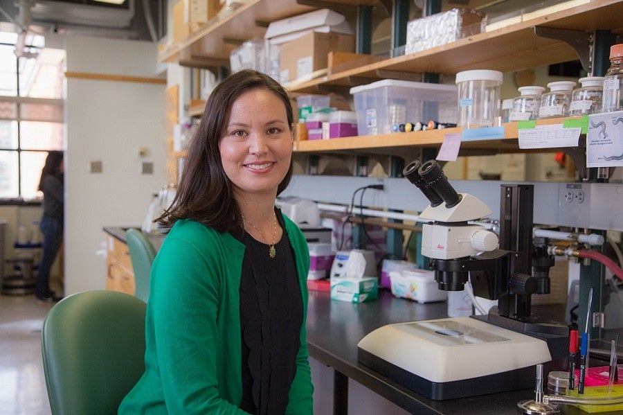 Diana Libuda, Department of Biology | OregonNews