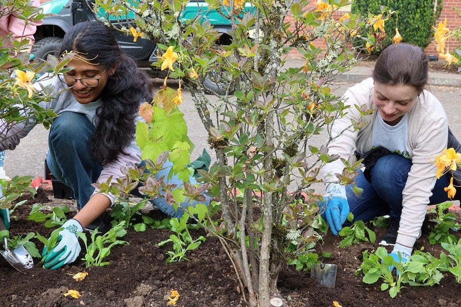 Flower Power: U-Day Beautification Rooted in Panoply of Plantings ...