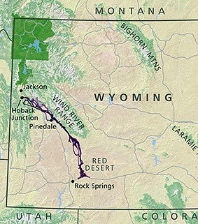 NY Times story features UO map of mule deer migration routes | OregonNews