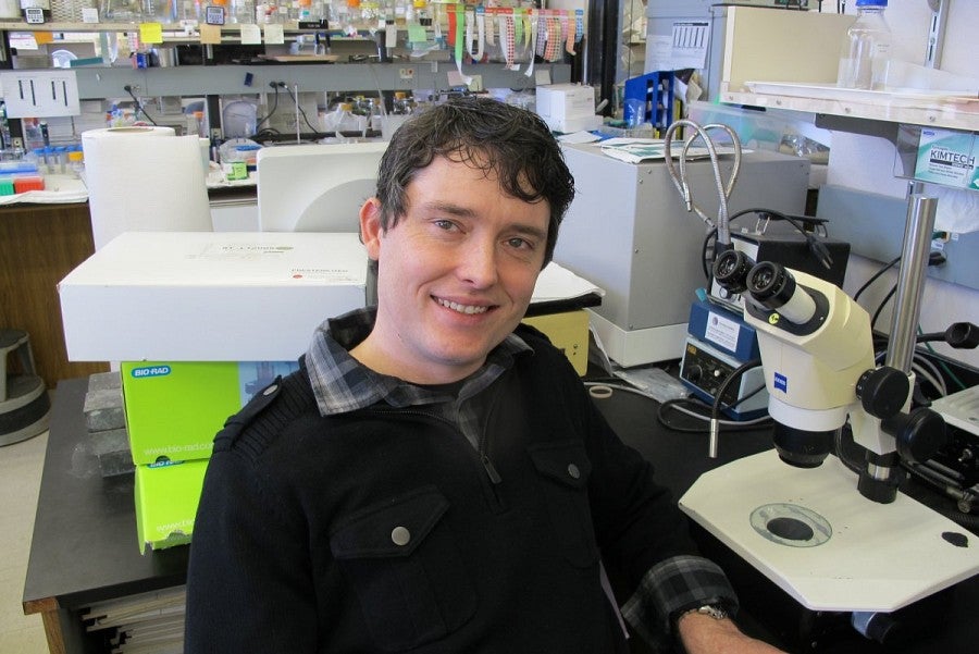 Bioinformatics master’s opens doors in DNA sequencing | OregonNews