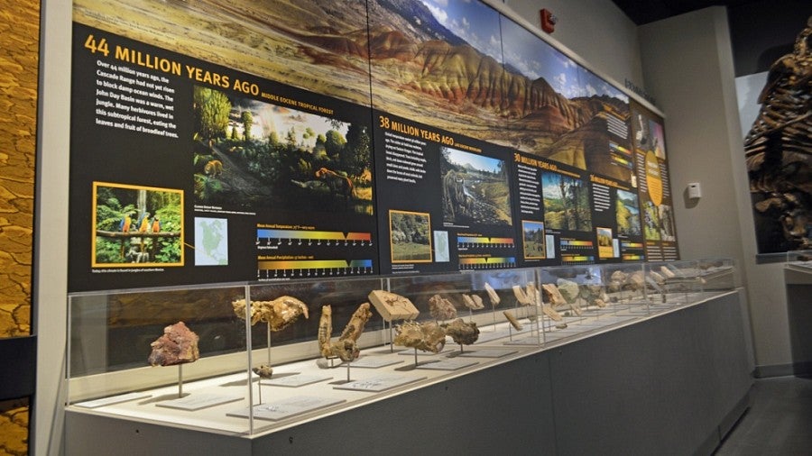 Legislature taps UO museum as state’s official home for fossils ...