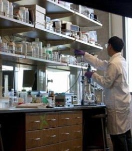 Education development grant awarded to UO’s STEM CORE | OregonNews